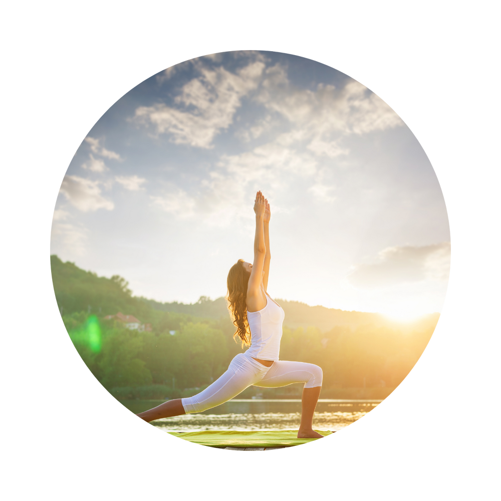 Premium Multivitamin Supplements | THRIVE by Stacks Vitamin Company